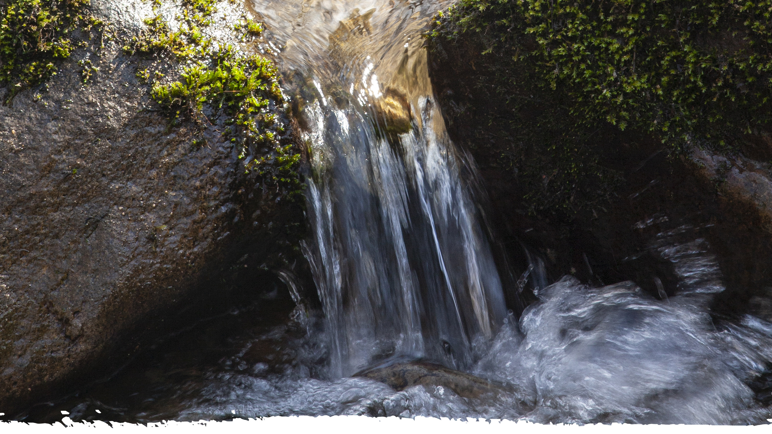 Proteger El Ciclo Del Agua - Danone